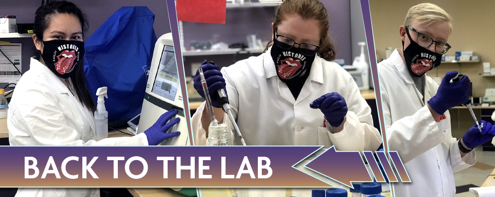 New_Back_to_the_Lab_Active_Motif